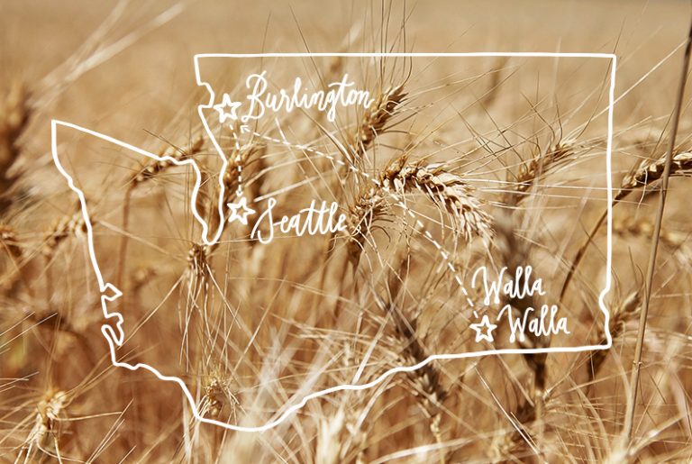 From Field to Table, Our New Whole Grain Baguette - Macrina Bakery ...